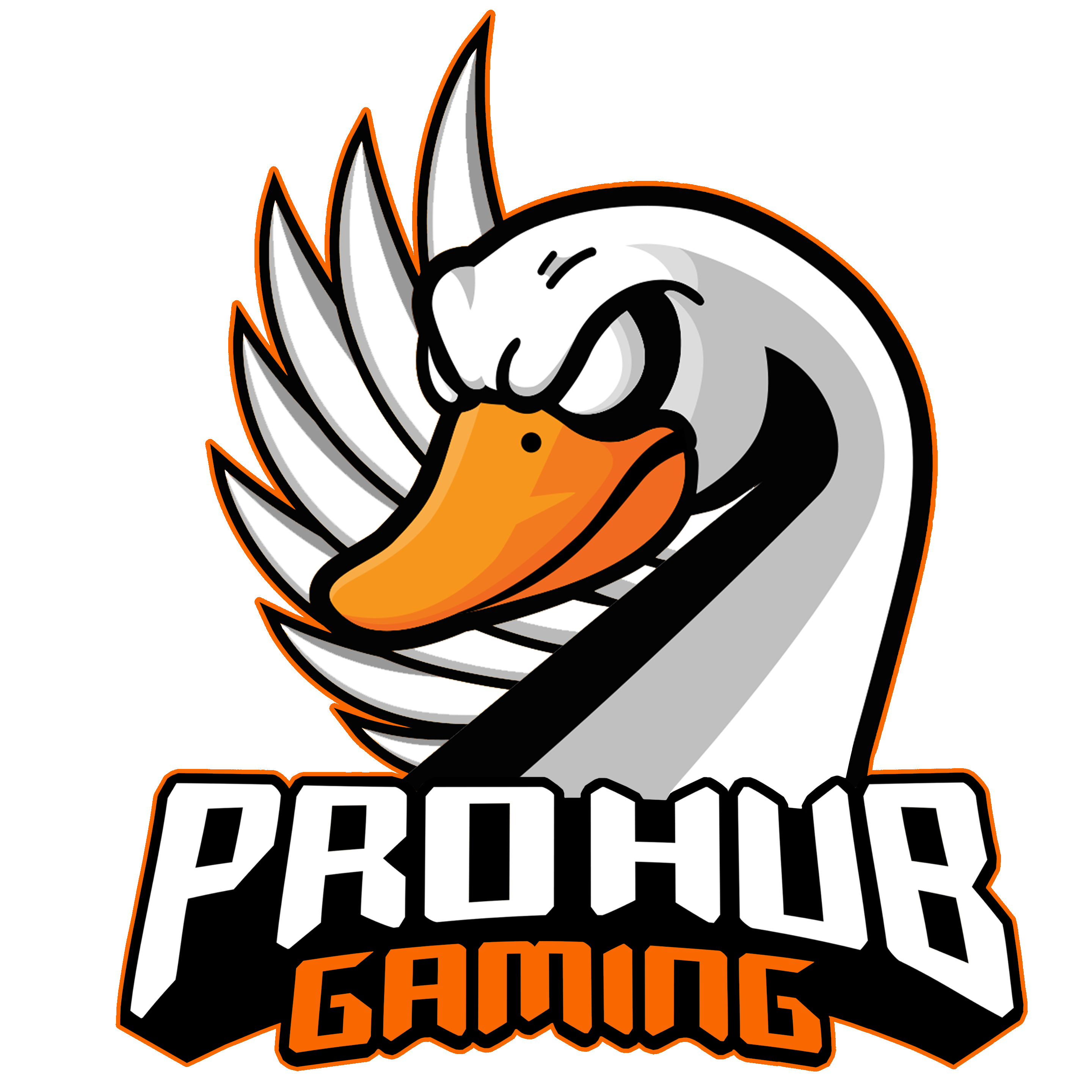 Pro Hub Gaming - Equipo - Temporada de Juegos
