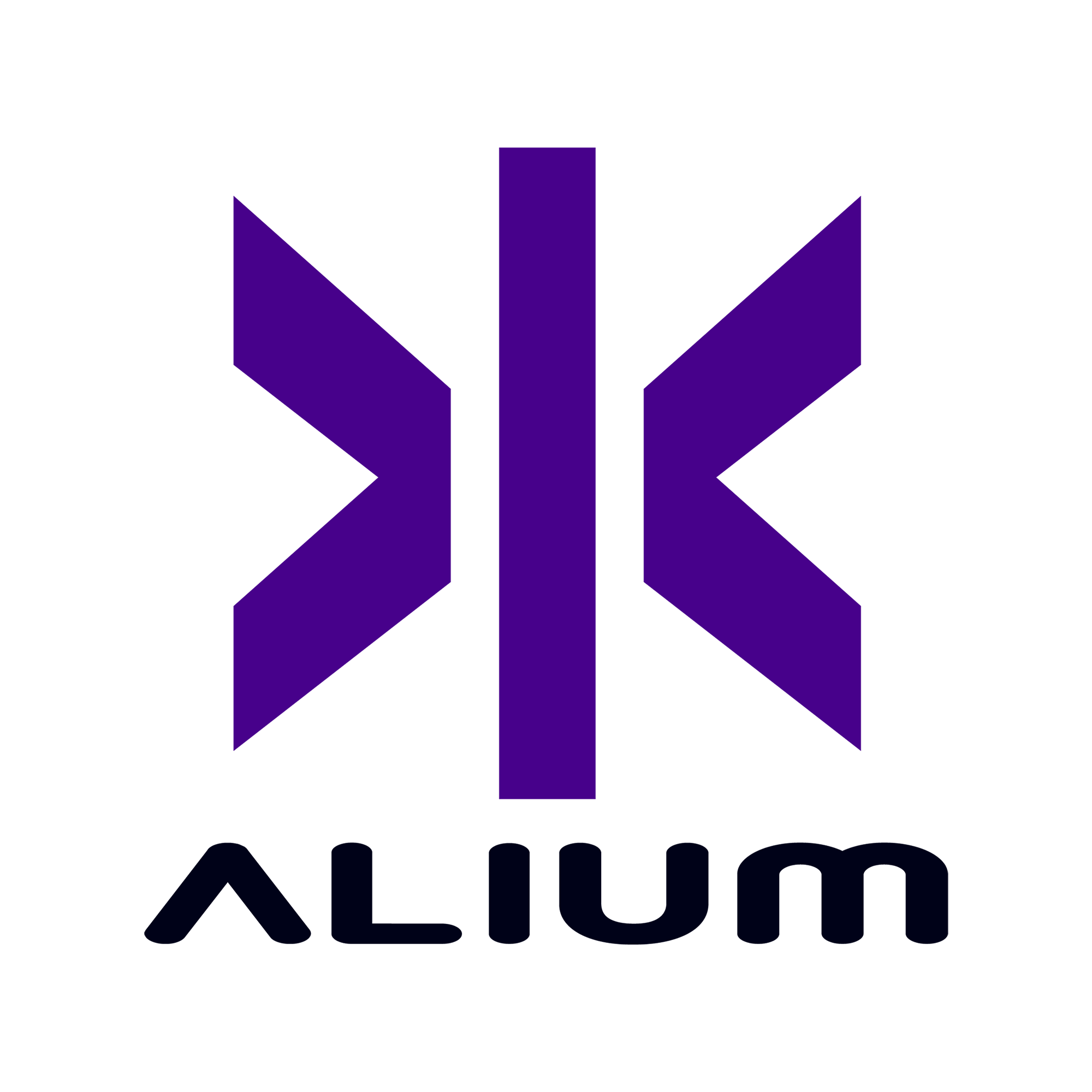 Alium Gaming - Equipo - Temporada de Juegos 2024